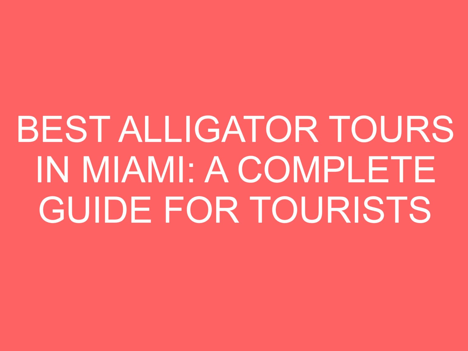 Best Alligator Tours In Miami: Top Everglades Adventures For 2026
