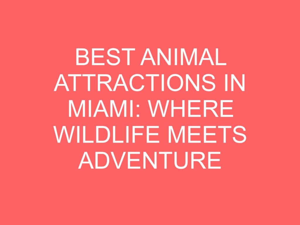 Best Animal Attractions in Miami: Where Wildlife Meets Adventure